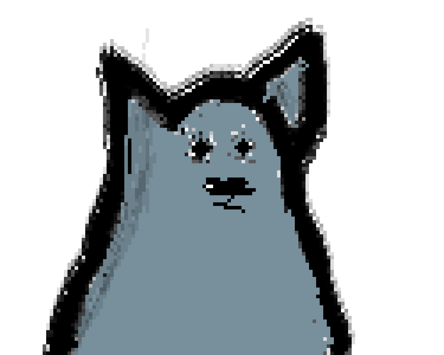 Pixilart - Cat by Anonymous