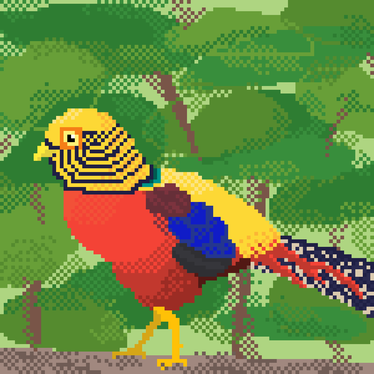 Pixilart - Golden Pheasant by Slove