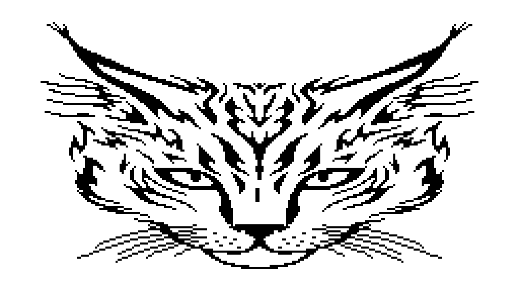 Pixilart - Cool Cat Head Design by Weirdsilver