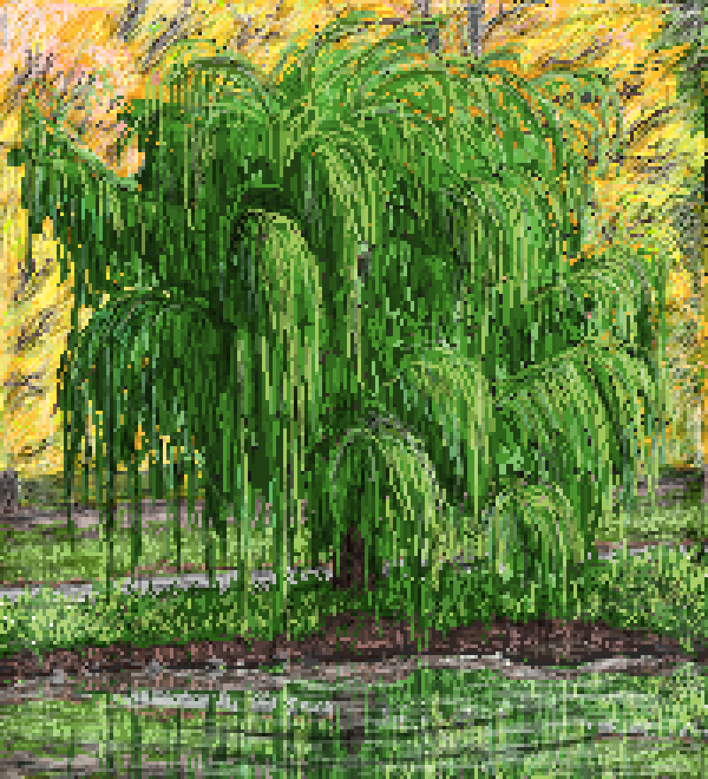 Pixilart - Willow tree by weptashka