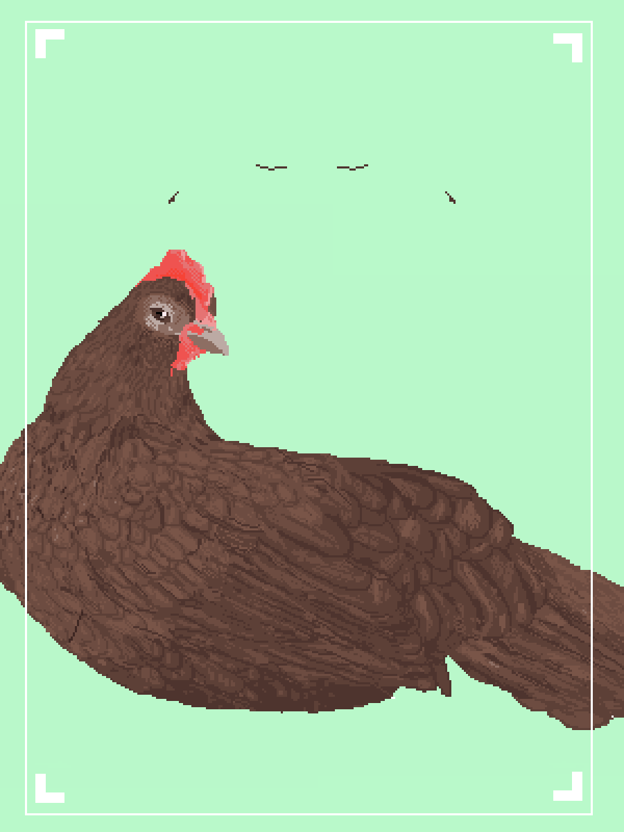 Pixilart - Cluck cluck 2.0 by Indigress