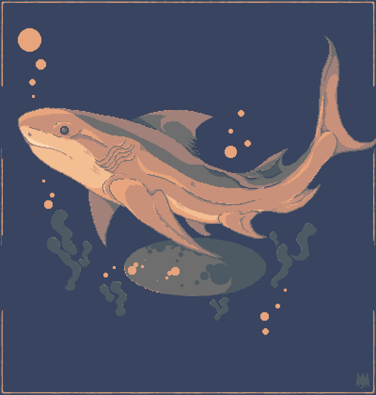 Pixilart - Bull Shark by SummersCalamity