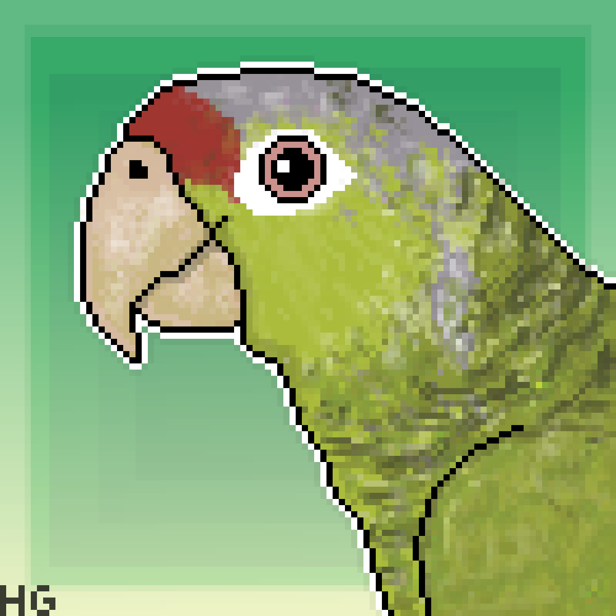 Pixilart - Parrot Portrait by Bananabae