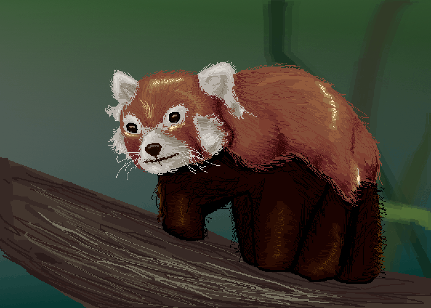 Pixilart - Red Panda by NataliaHumor