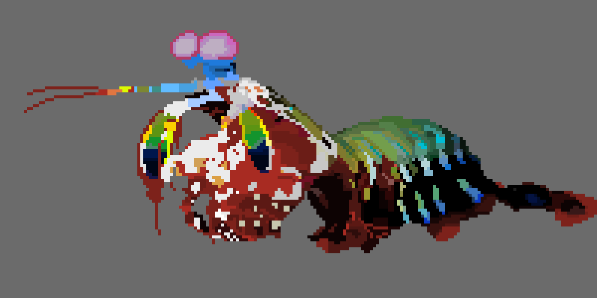Pixilart - Peacock mantis shrimp by S52