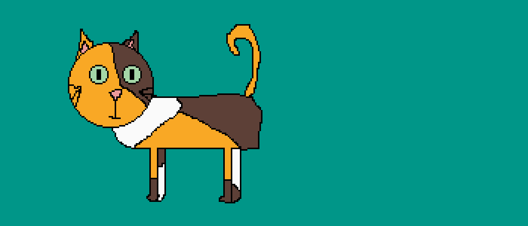 Pixilart - Turtle cat by EmazingPixelArt