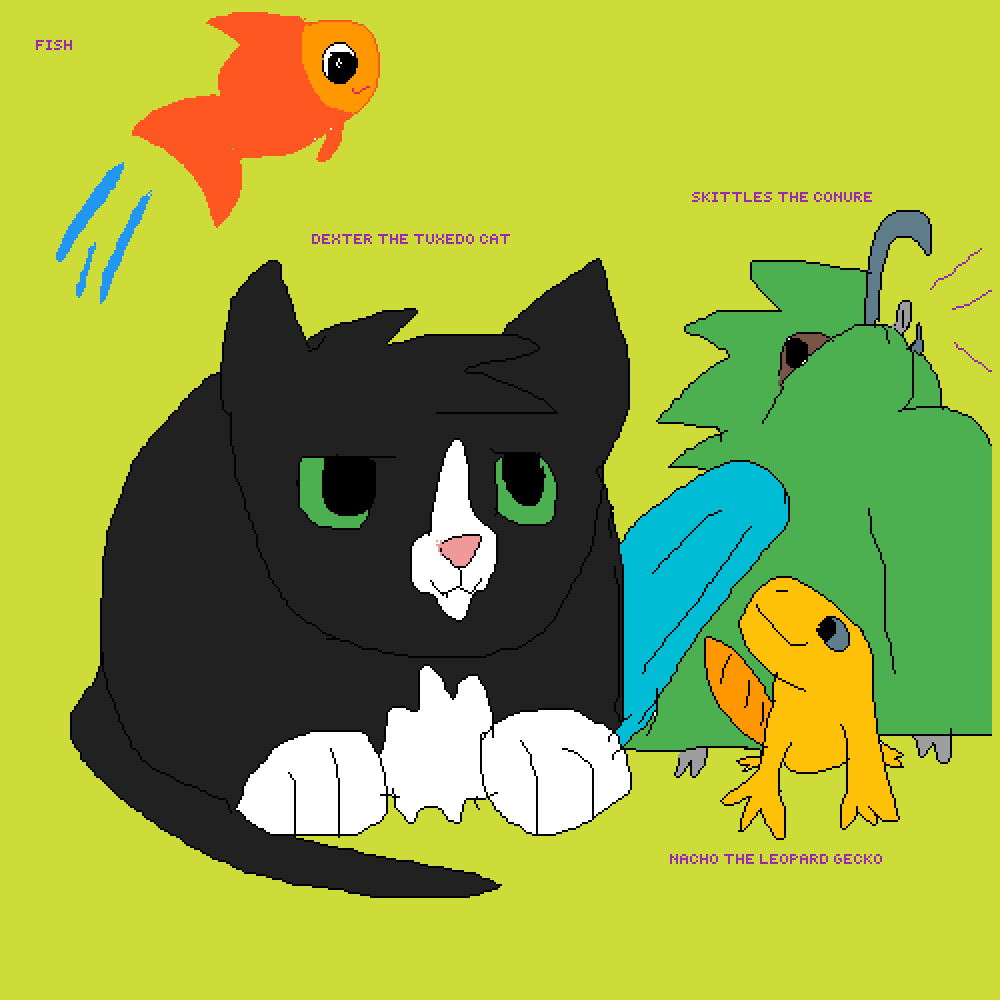 Pixilart - All of my pets by ConureConjure