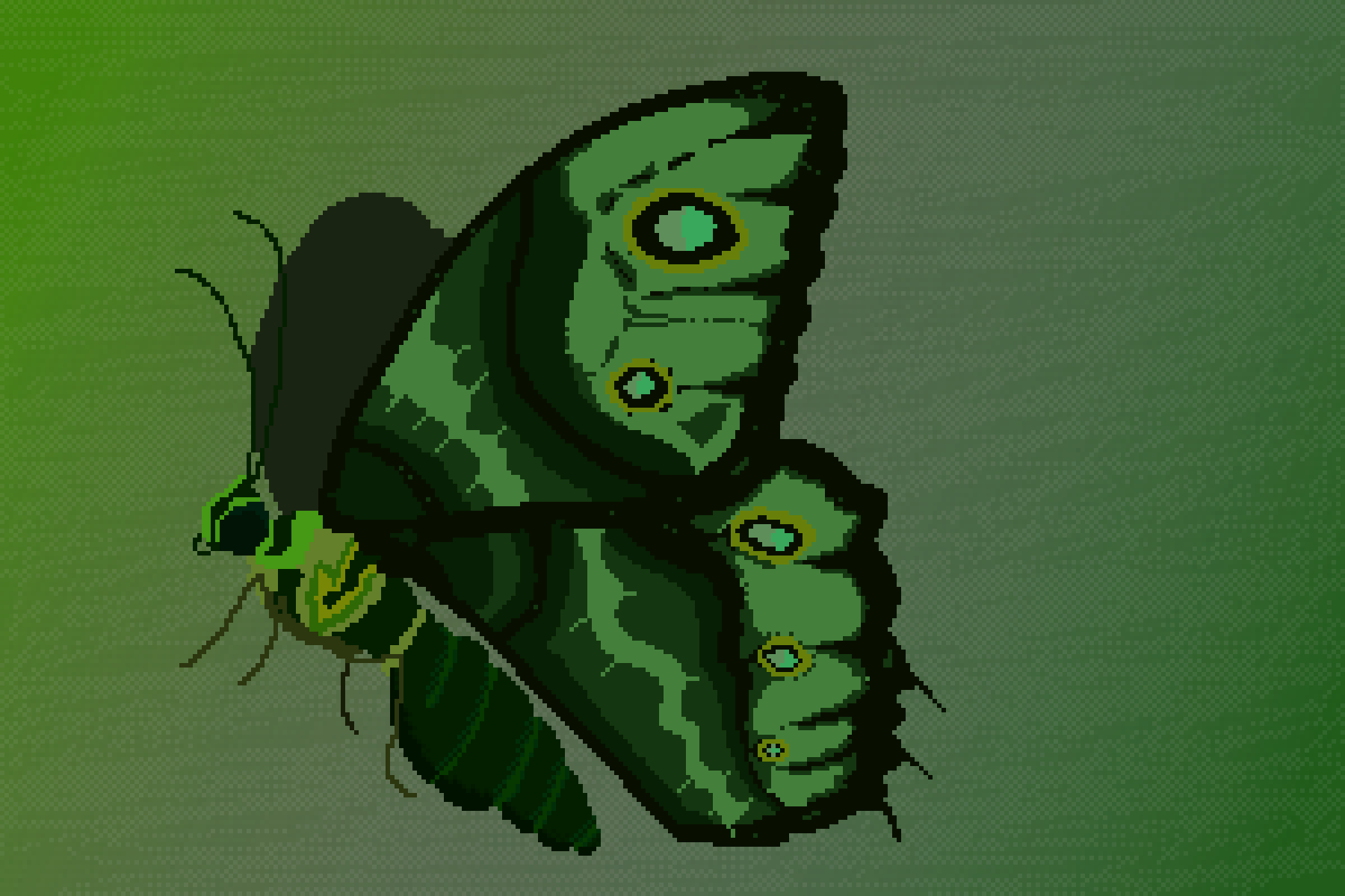 TryTryAgain's Gallery - Pixilart