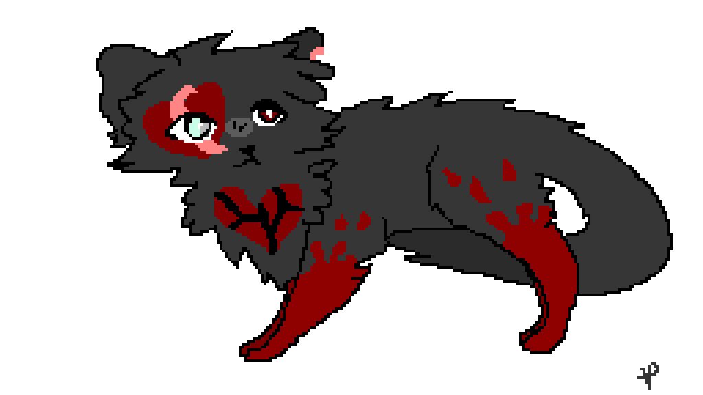Pixilart - My OC Cat "Heartbreak" by ShadowQueen