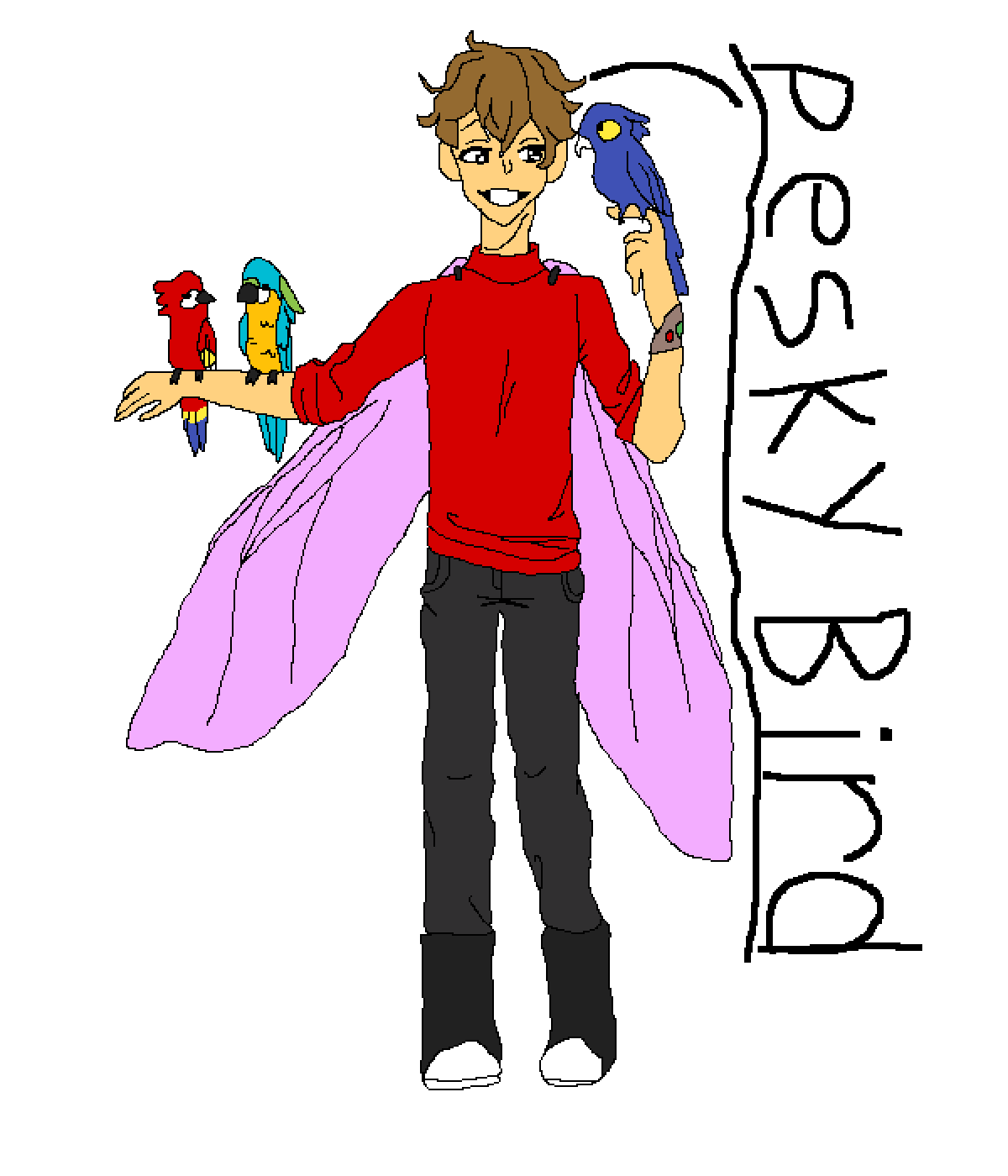 Pixilart - Grian and his birds by DrawManiac