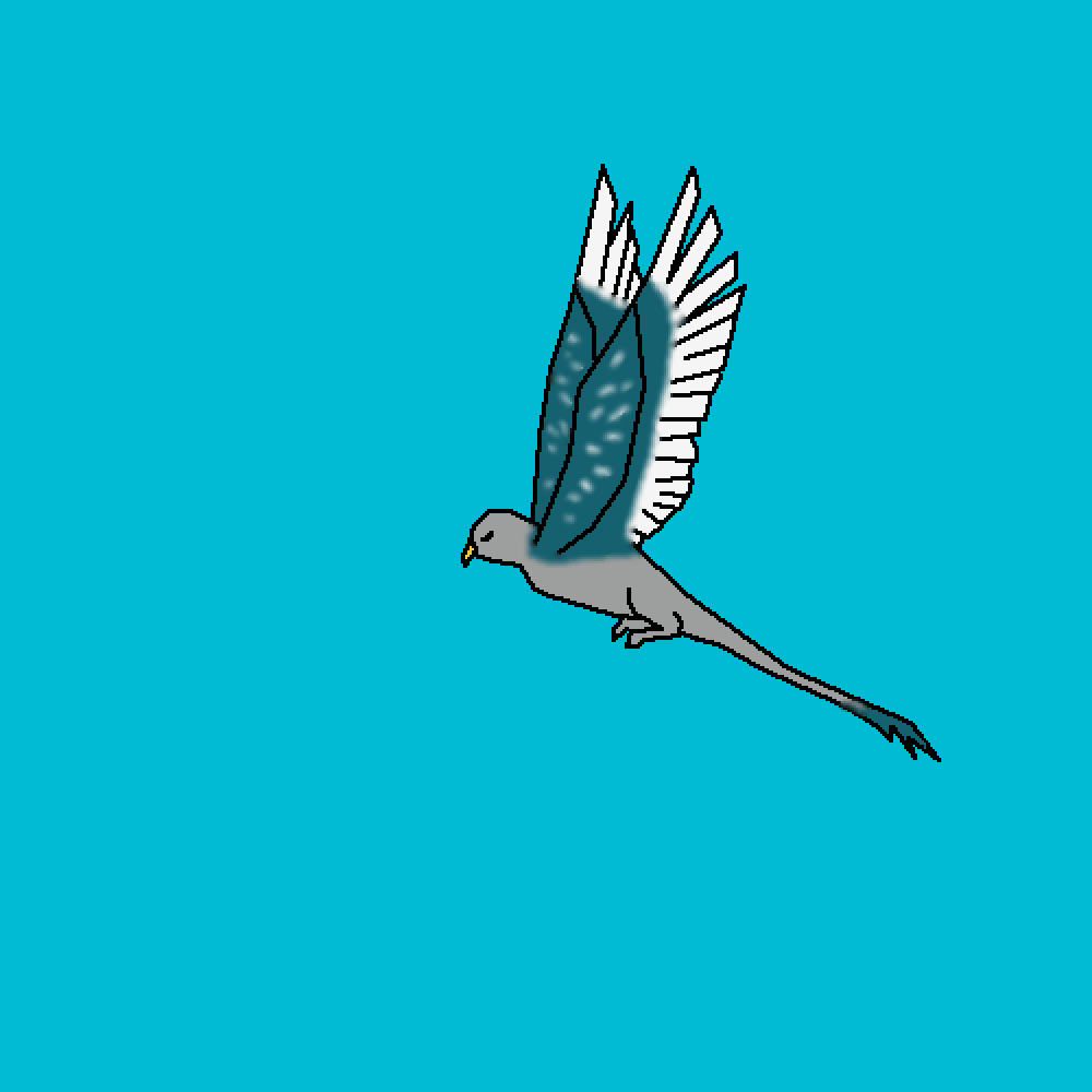 Bird Drawing Animated Gif