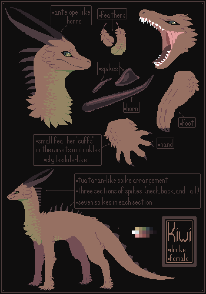 Pixilart - Kiwi Reference Sheet by nightjar