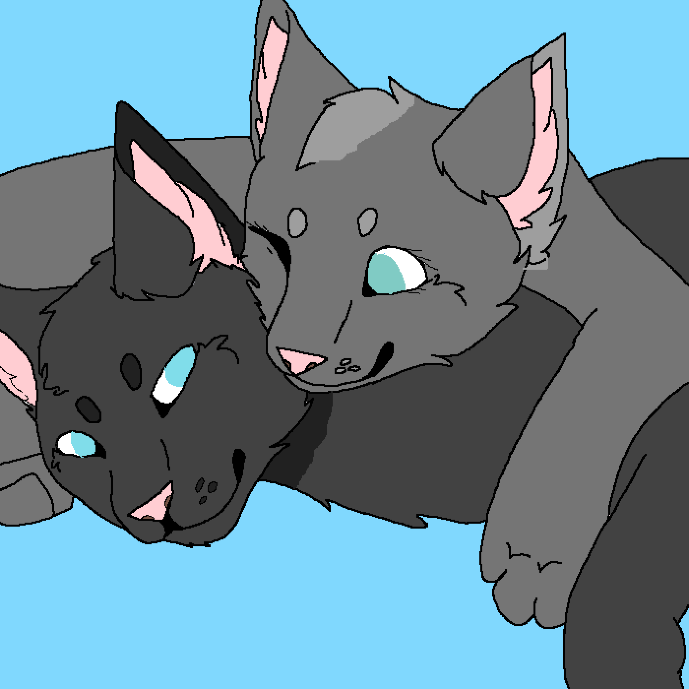 Warrior Cats Contest Pixilart Warrior Cats Contest Pixilart