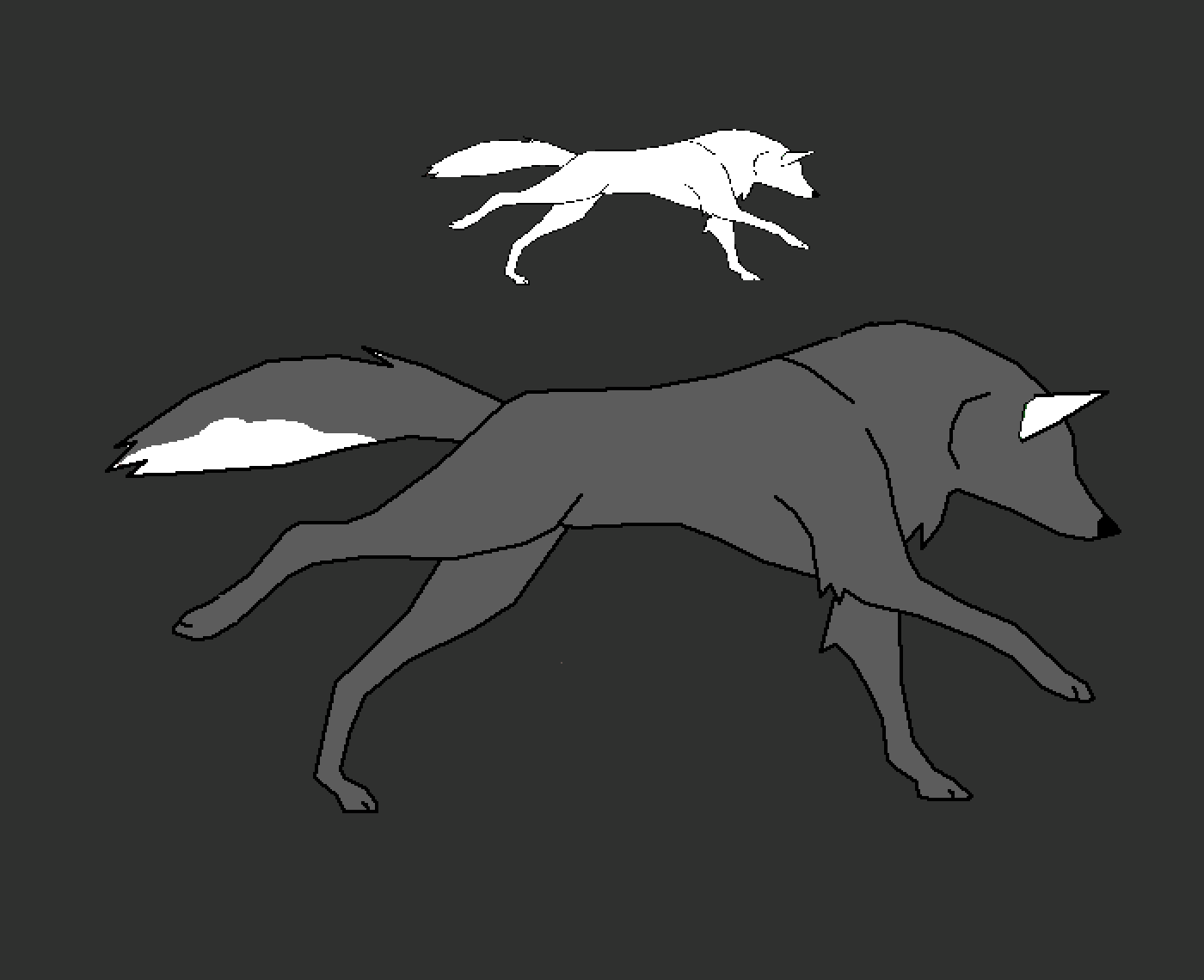 Wolf Running Animation