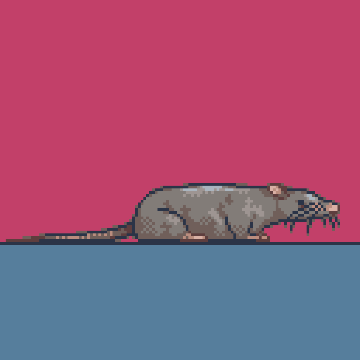 Pixilart - cong rat by Cheddarran
