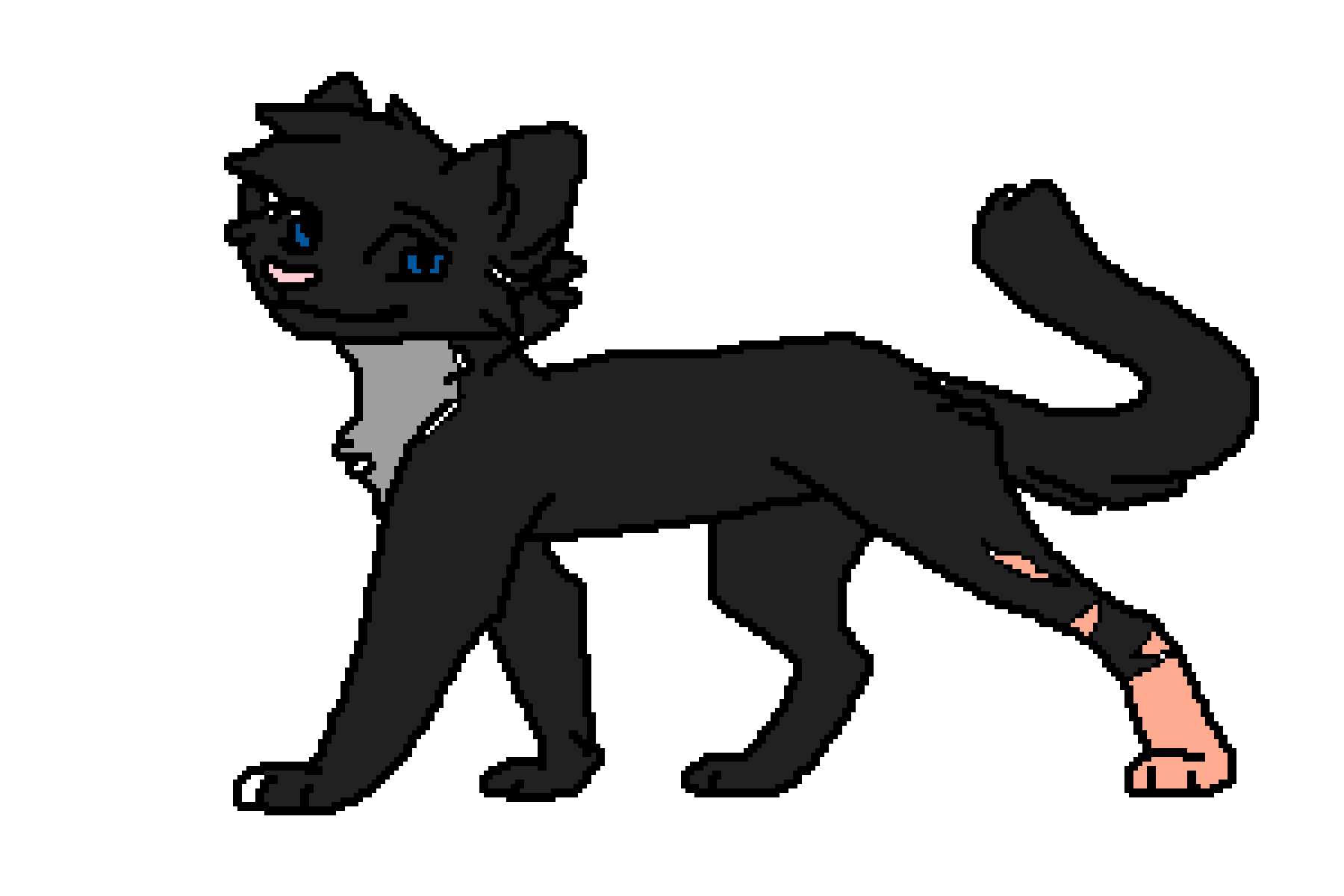 Pixilart - cinderpaw by mitskithebest