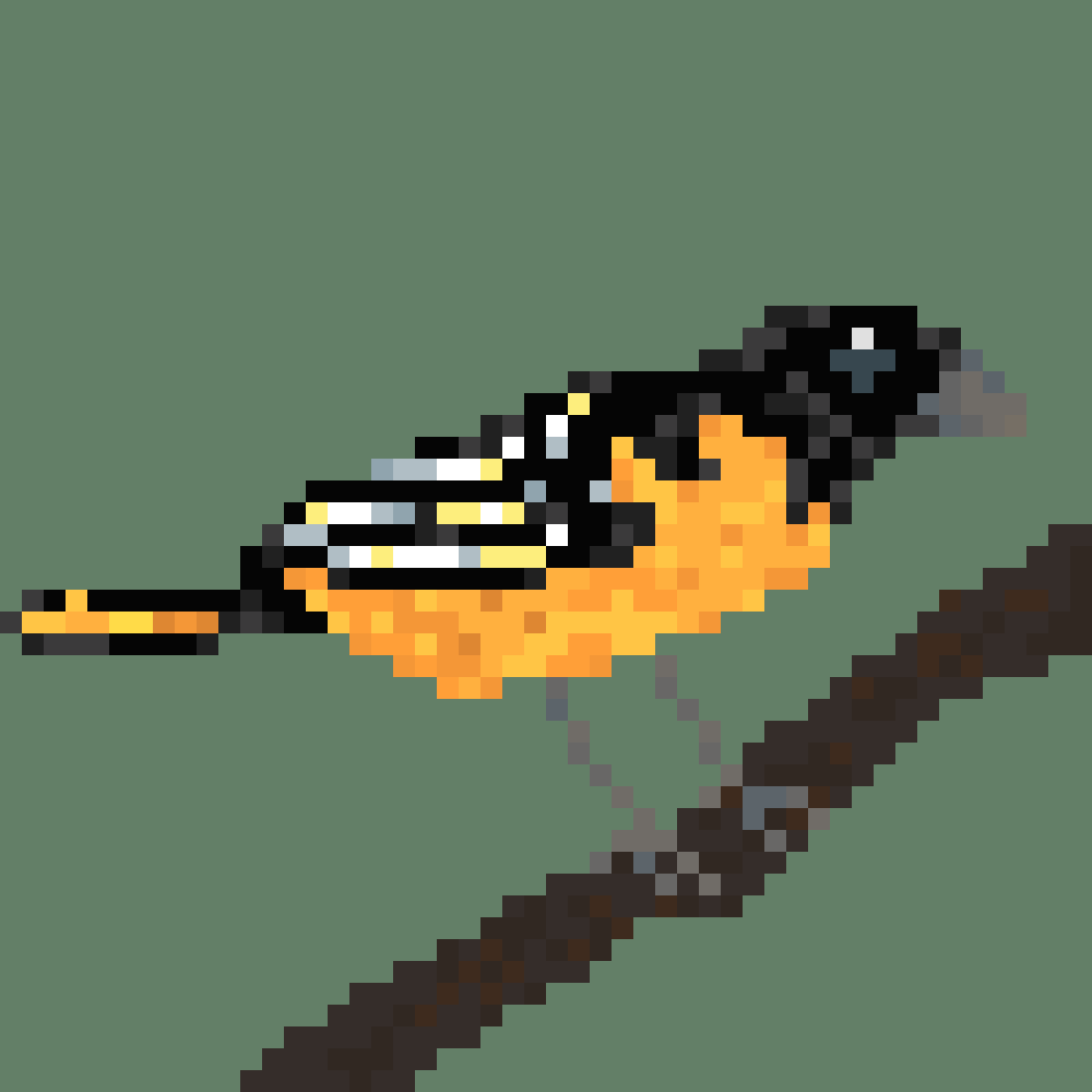 Pixilart - Bird by Sexynoodle420