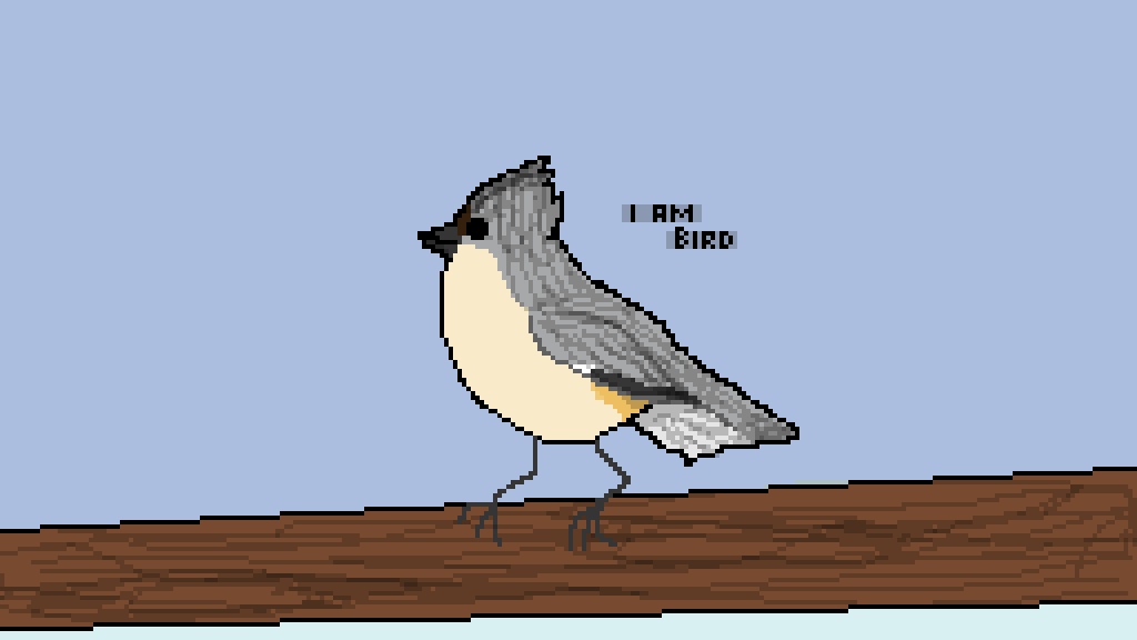 Pixilart - i am bird by pixelio