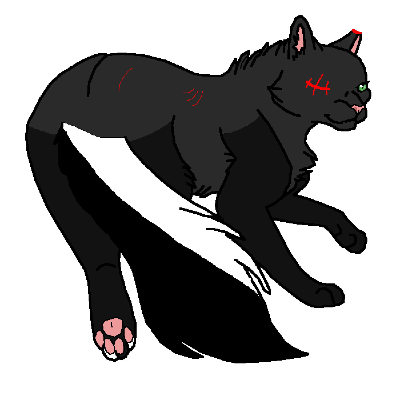 Warrior Cats OC Contest - Pixilart