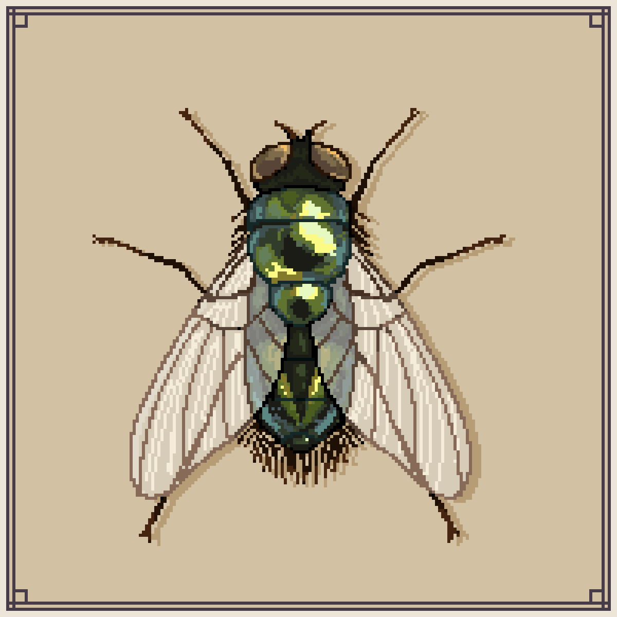 Pixilart - Fly by JesterBug