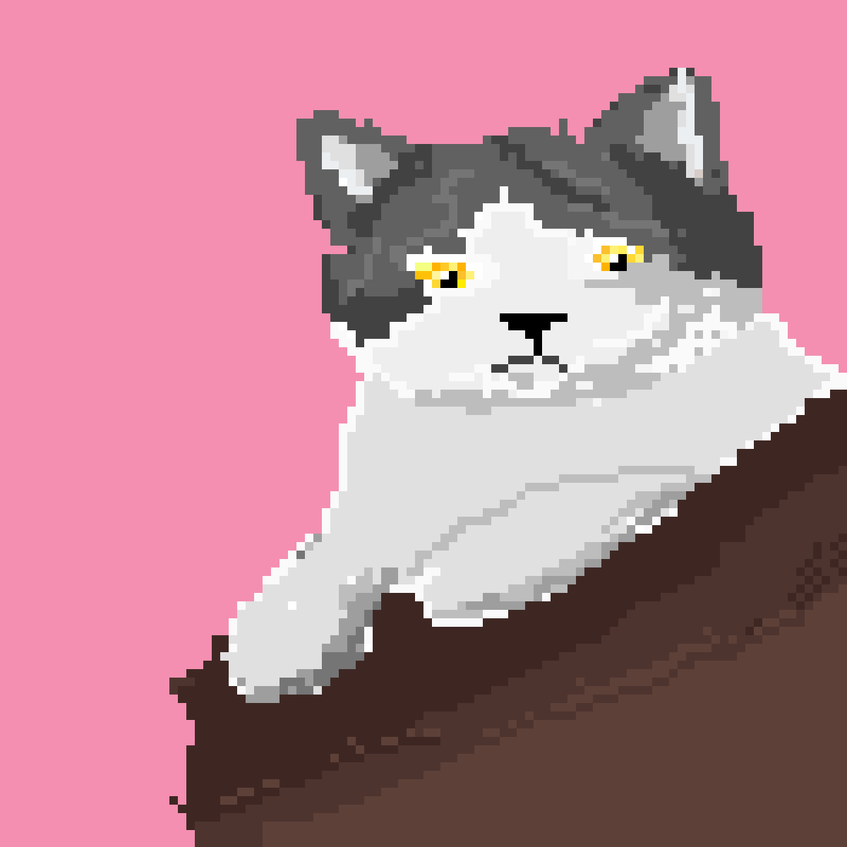 Cat Drawing Contest - Pixilart