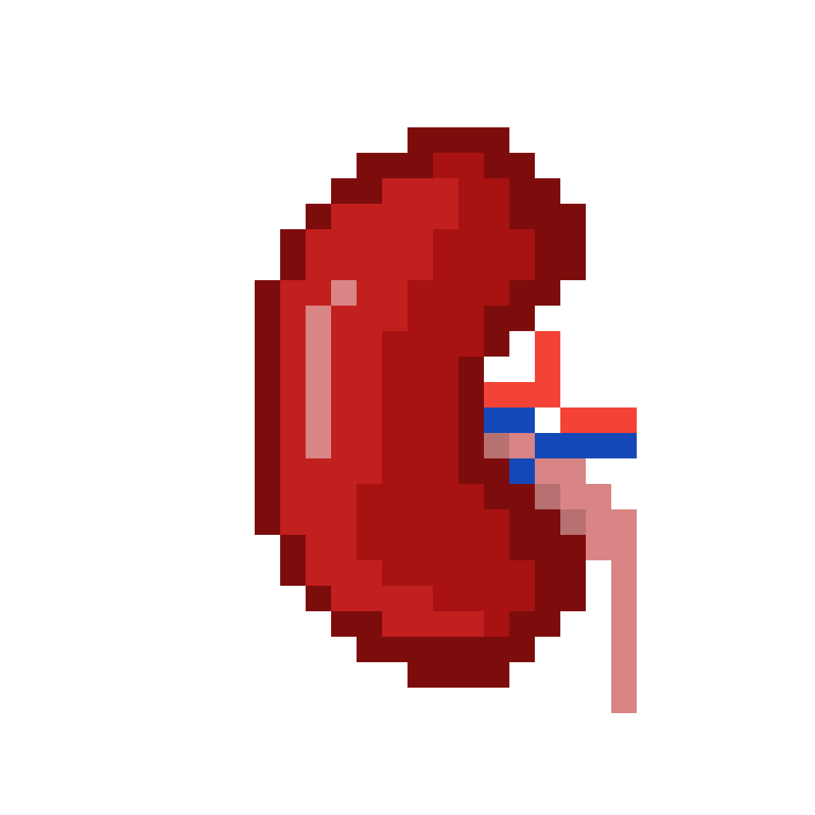 Editing Kidney - Free online pixel art drawing tool - Pixilart