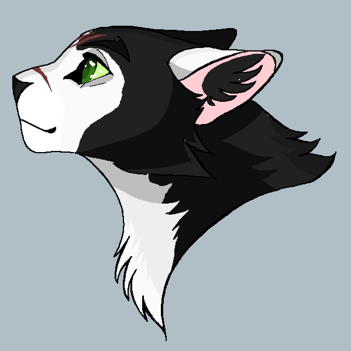 Pixilart - New WC oc by SilviaTheNeko