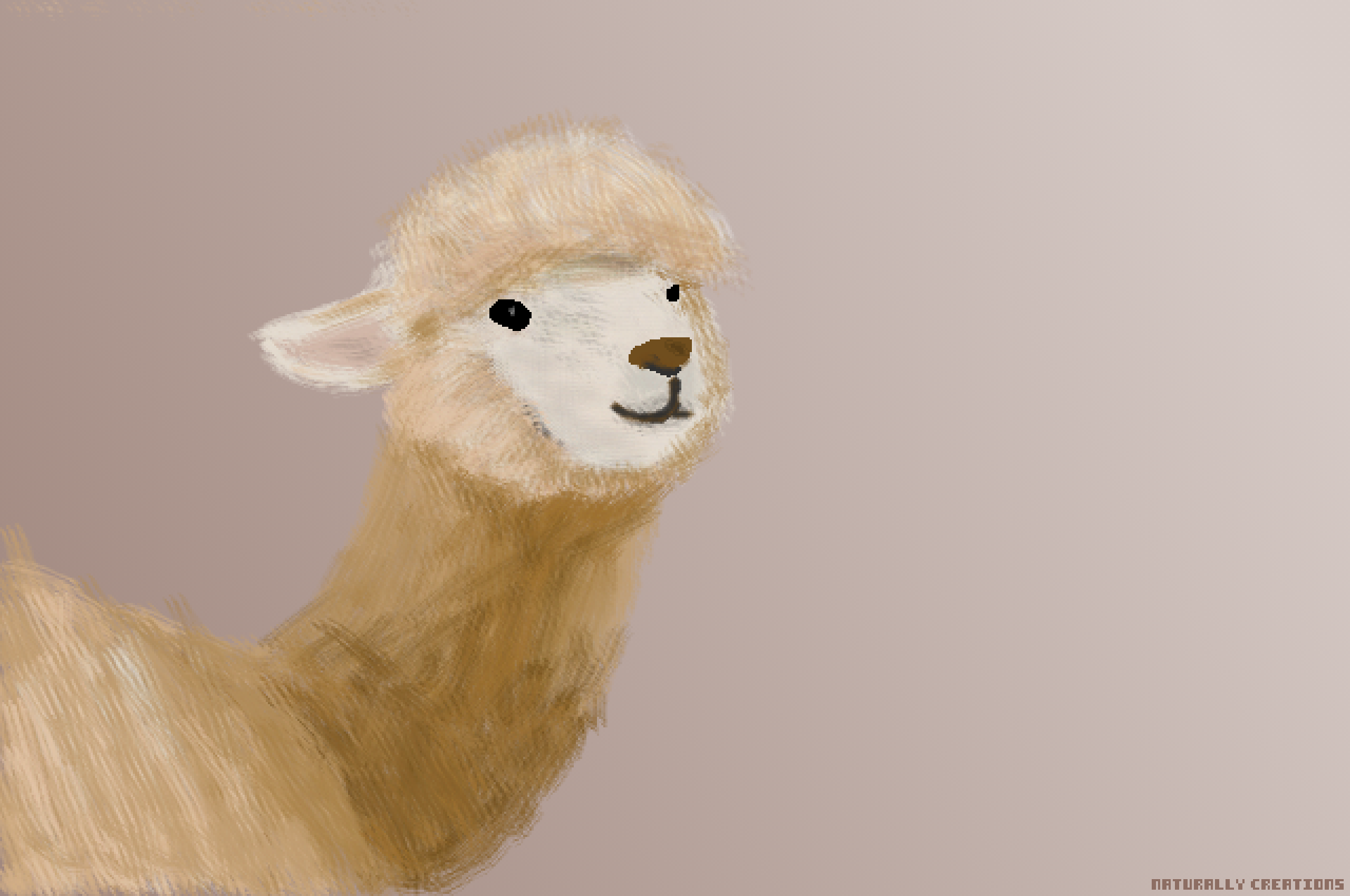 Cutest Animal Contest - Pixilart
