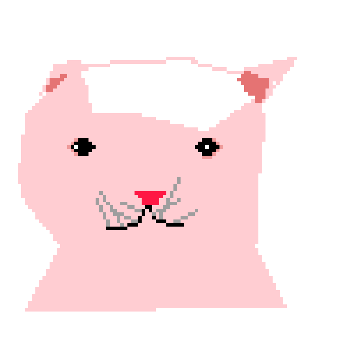 Pixilart - bingus cat by jdrifterfr920