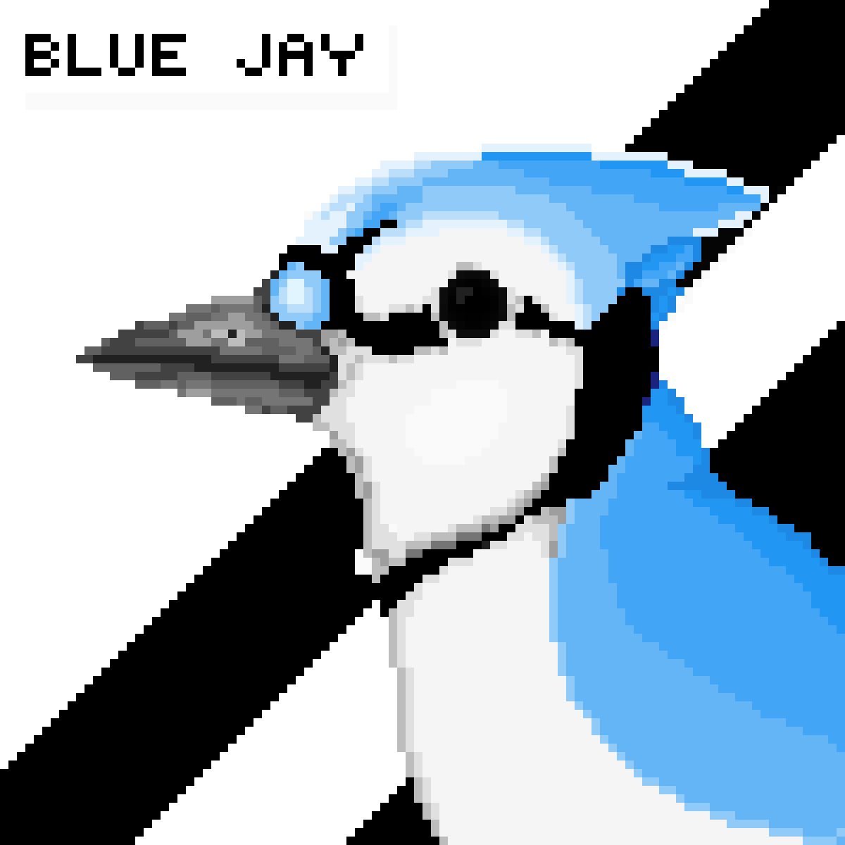 Pixilart - Blue Jay Drawing by TheRedDragon12