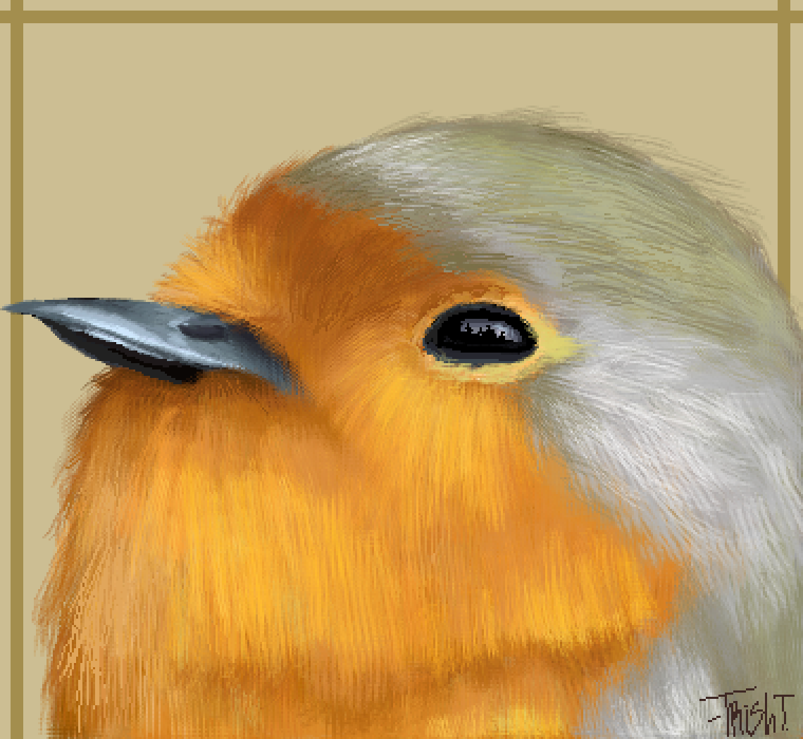 Pixilart - Robin bird by Trishtrain207