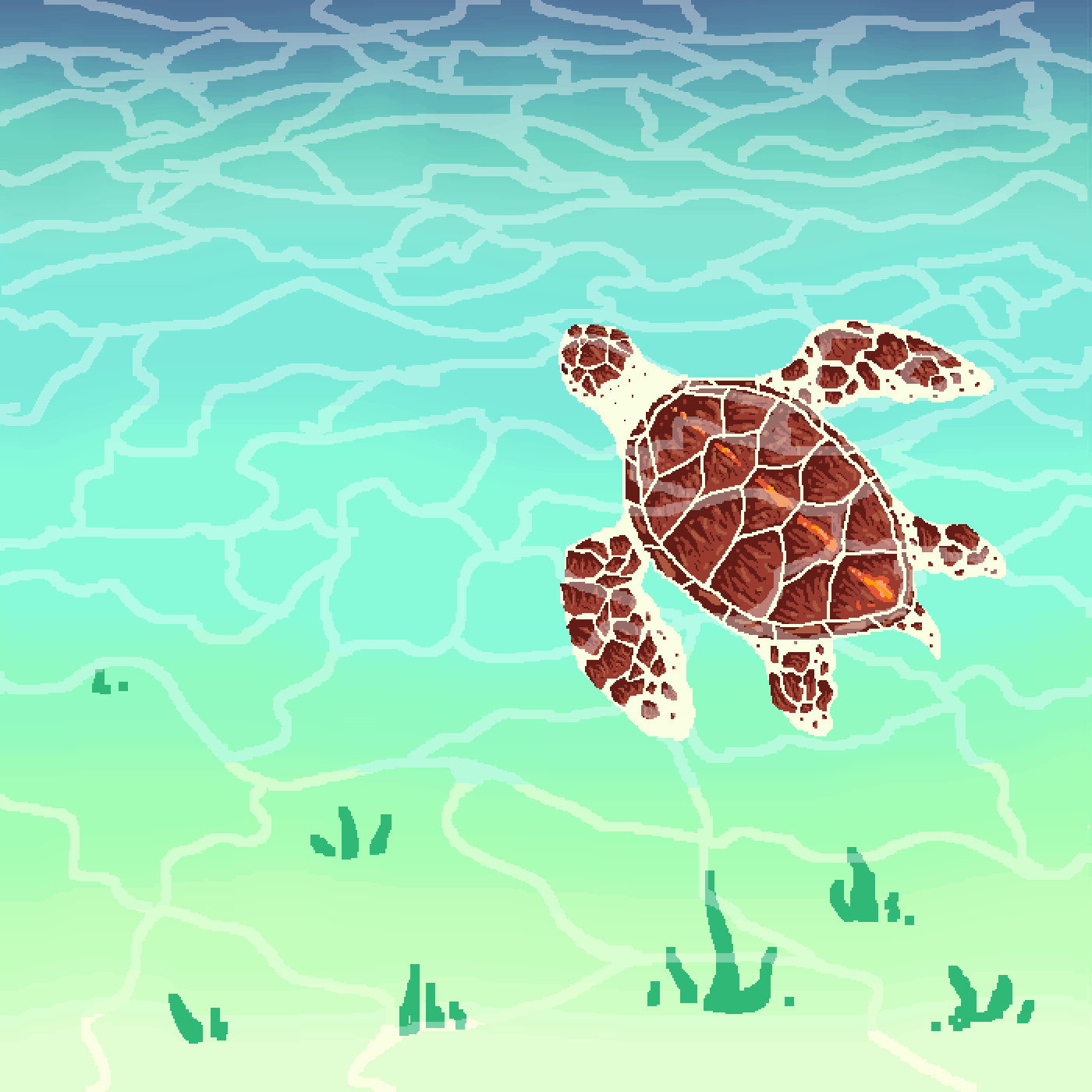 Sea Turtle Underwater Wallpapers Gifs - Infoupdate.org