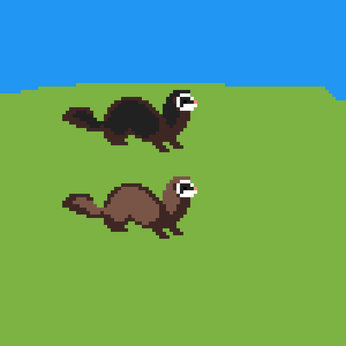Pixilart - ferrets by xenomorfo-alien