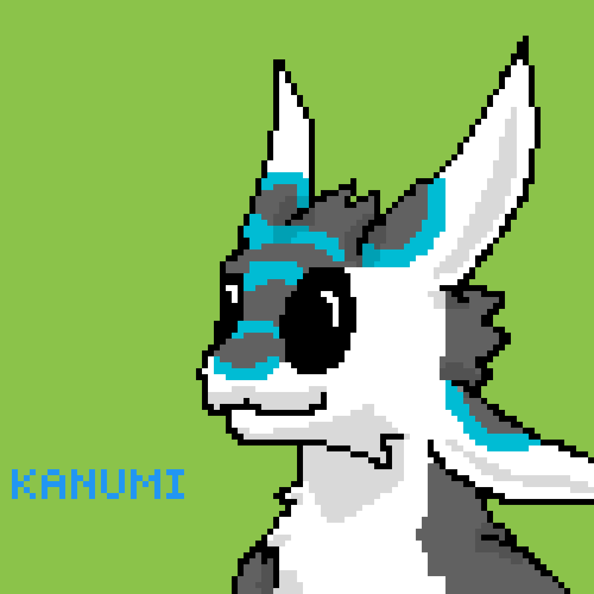 Pixilart - HGI: Kanumi by Flashwing3899