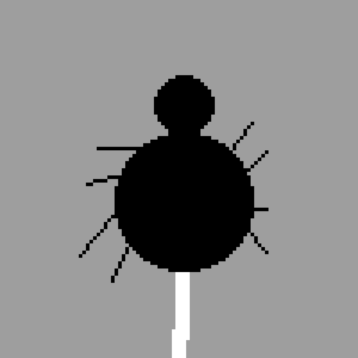 Pixilart - derp spider by Loracora