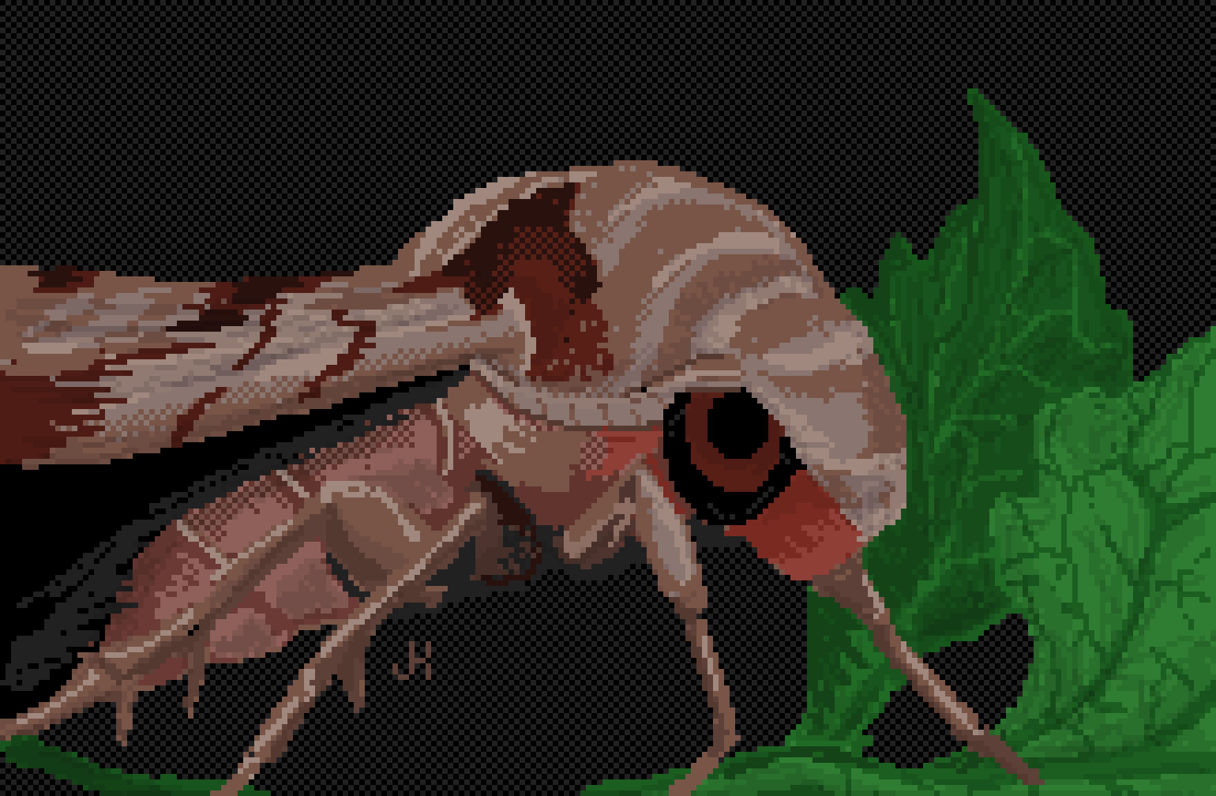 Pixilart - Moth by fablesofbeasts