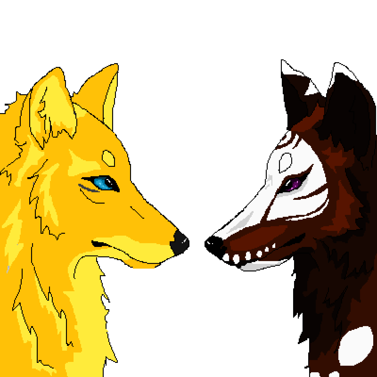 Fire And Ice Wolf Fighting