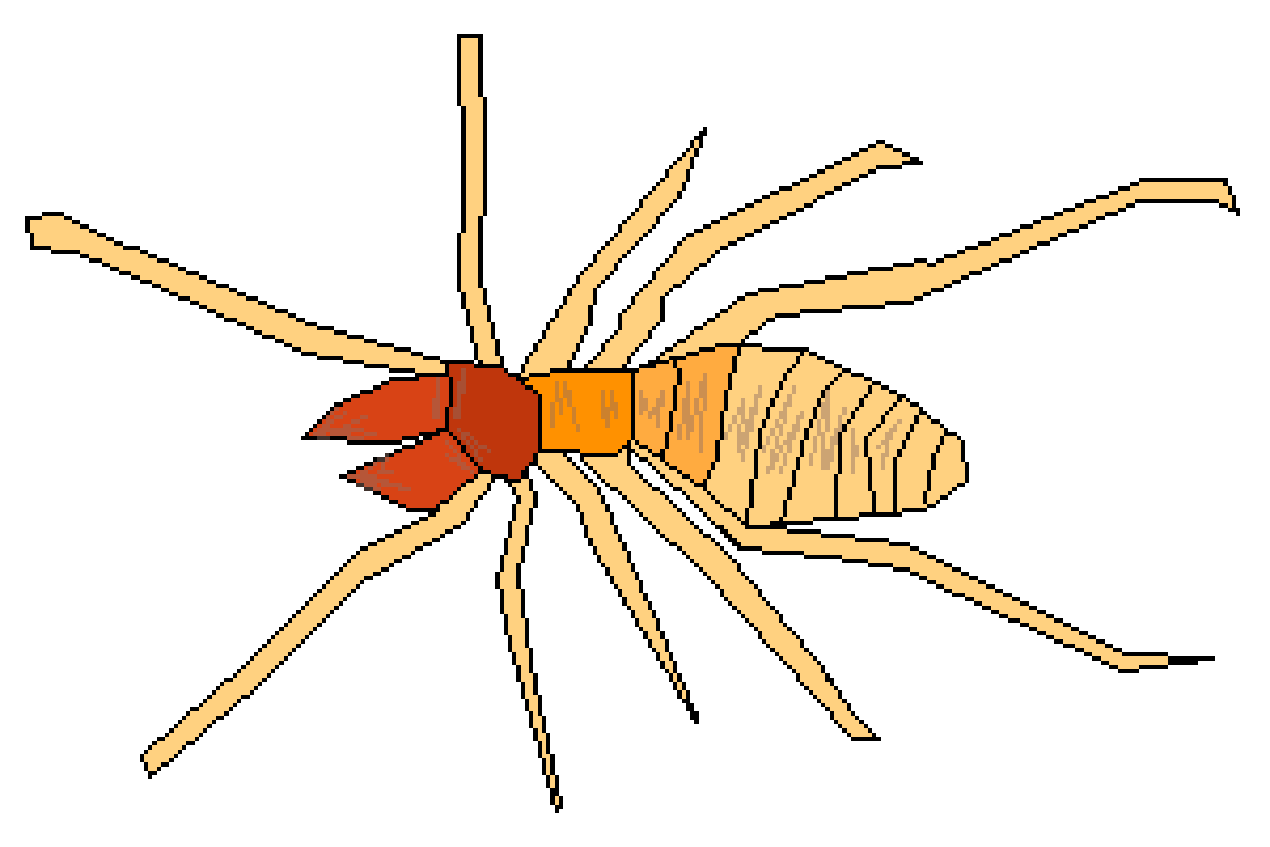 Pixilart - camel spiders by DreadPirateSage