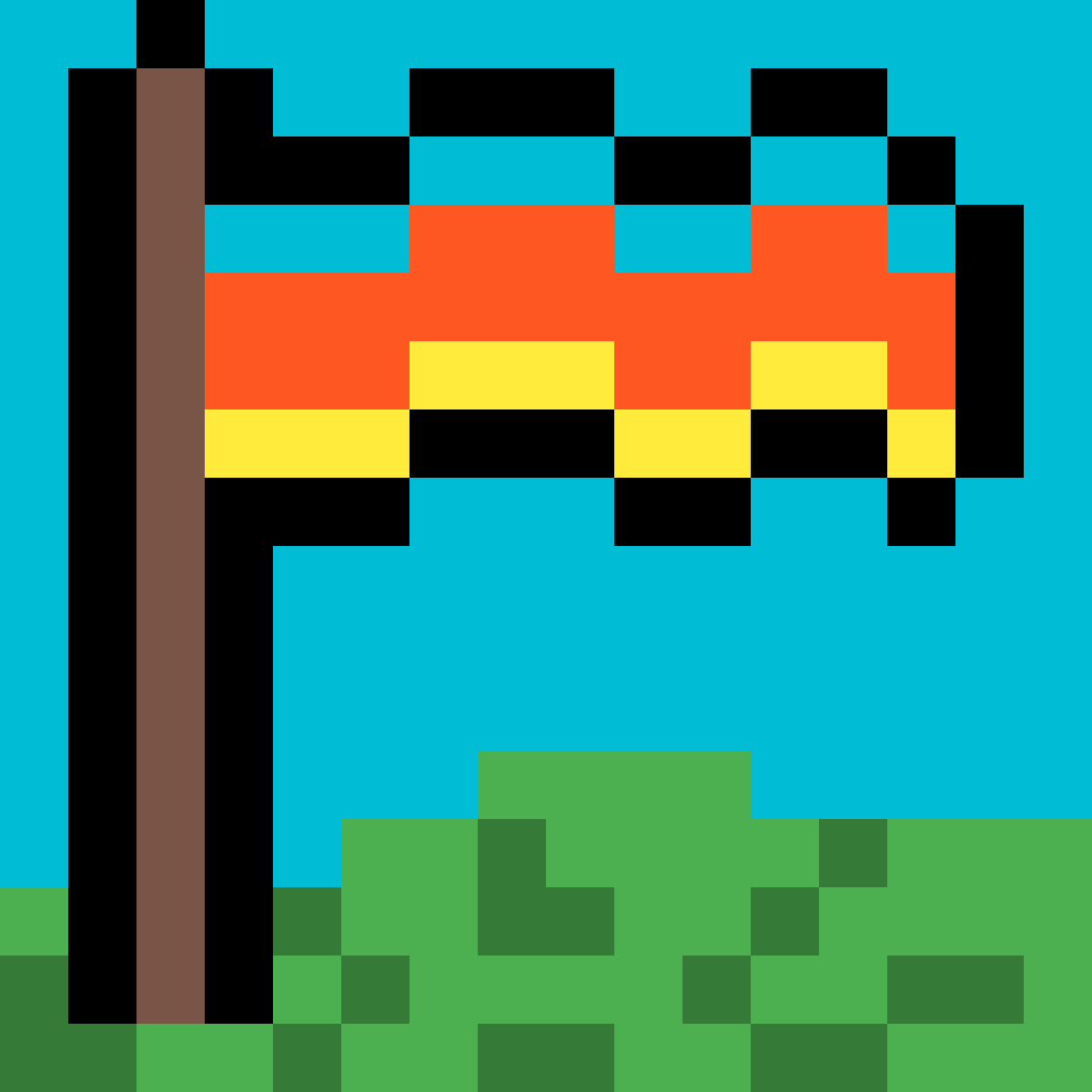Pixilart - flag that i made by gamenight291