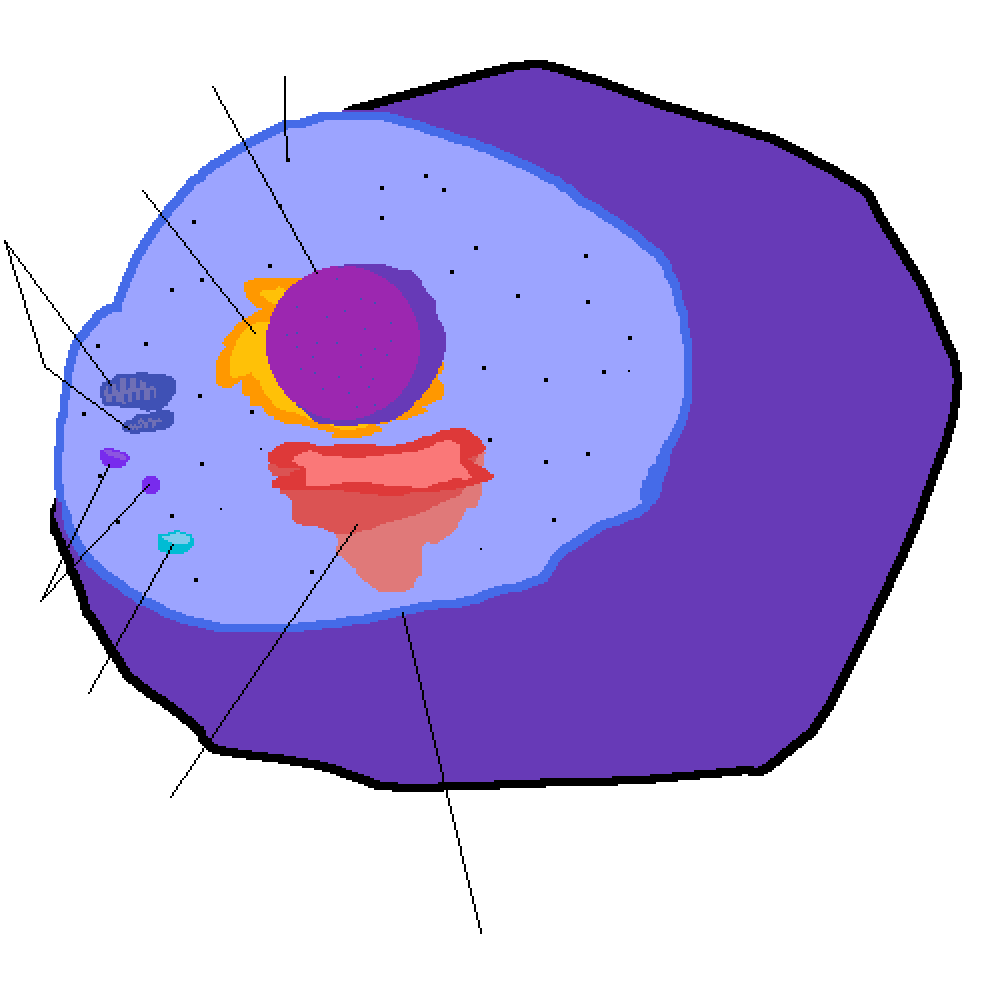 Editing animal cell - Free online pixel art drawing tool - Pixilart