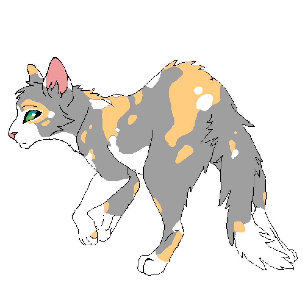 Pixilart - Name Her! by Kitty-Warrior