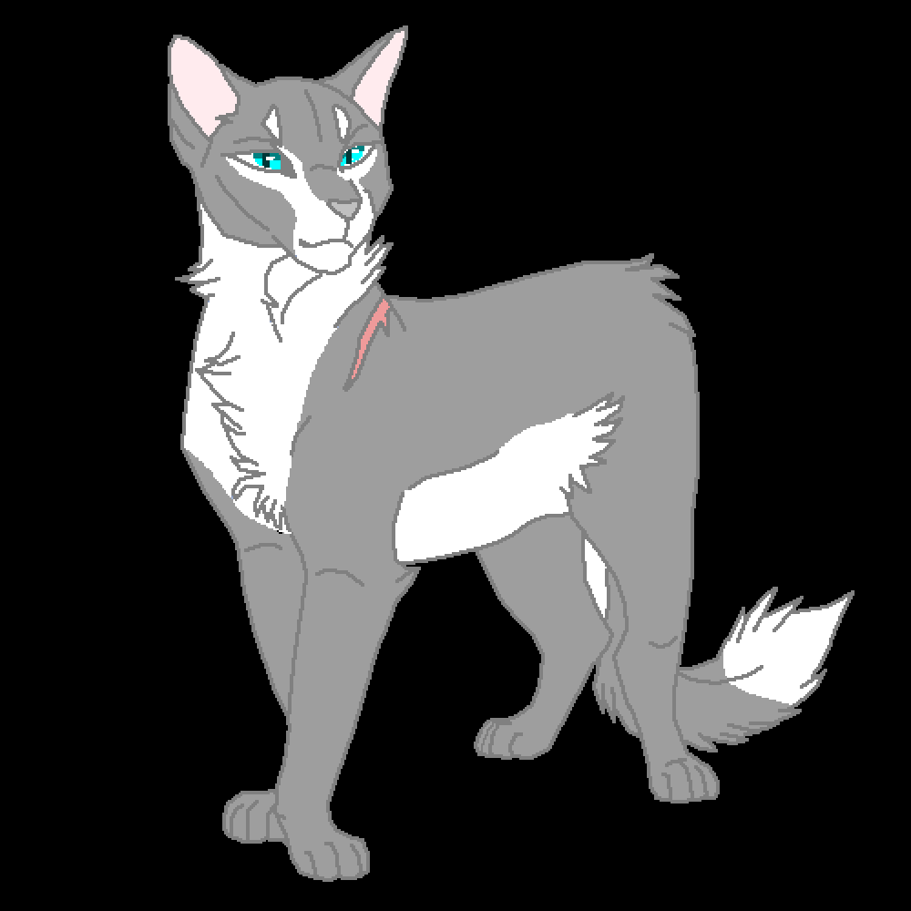 Pixilart - Another silvy cat. by SilentSilver