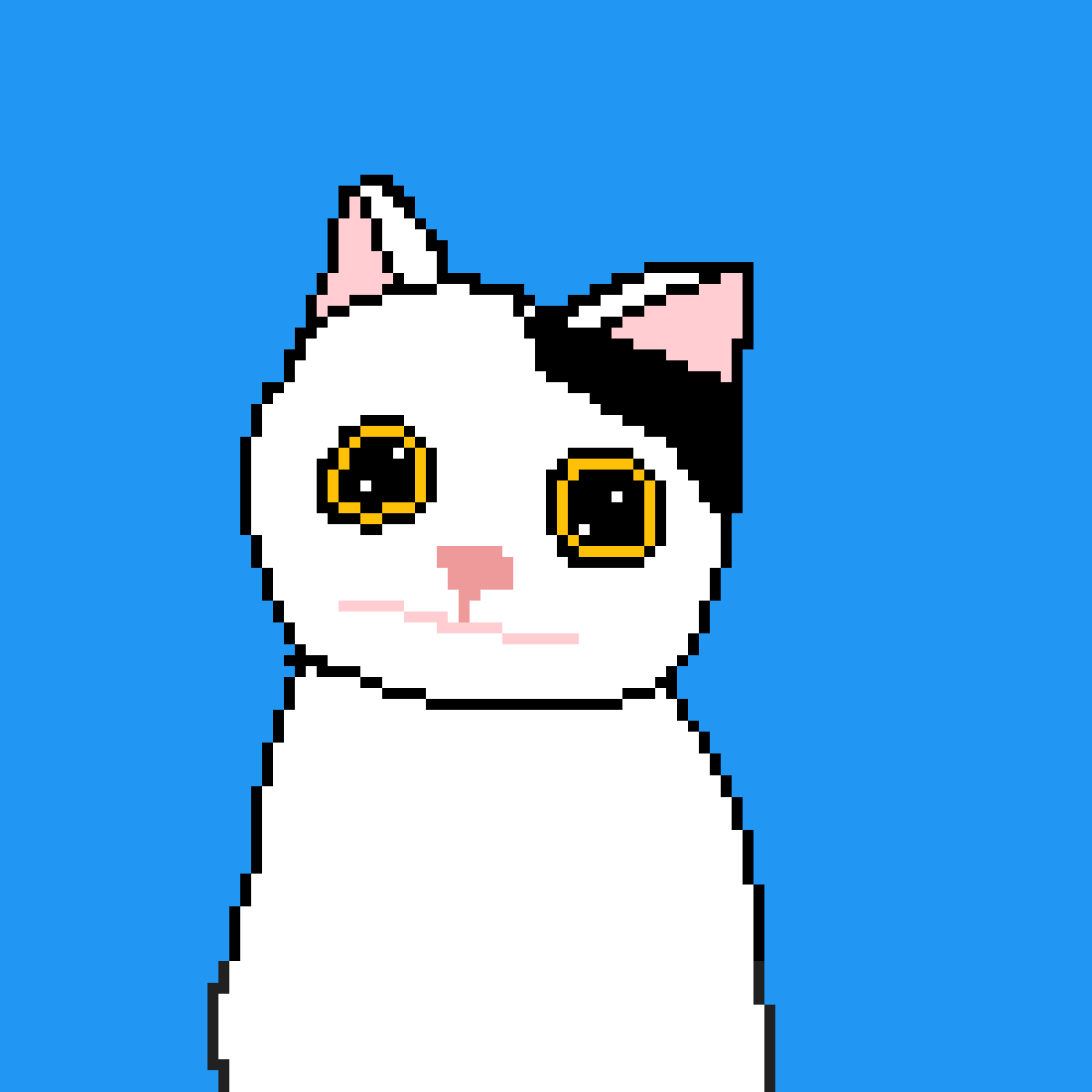 Pixilart - cat meme by iza