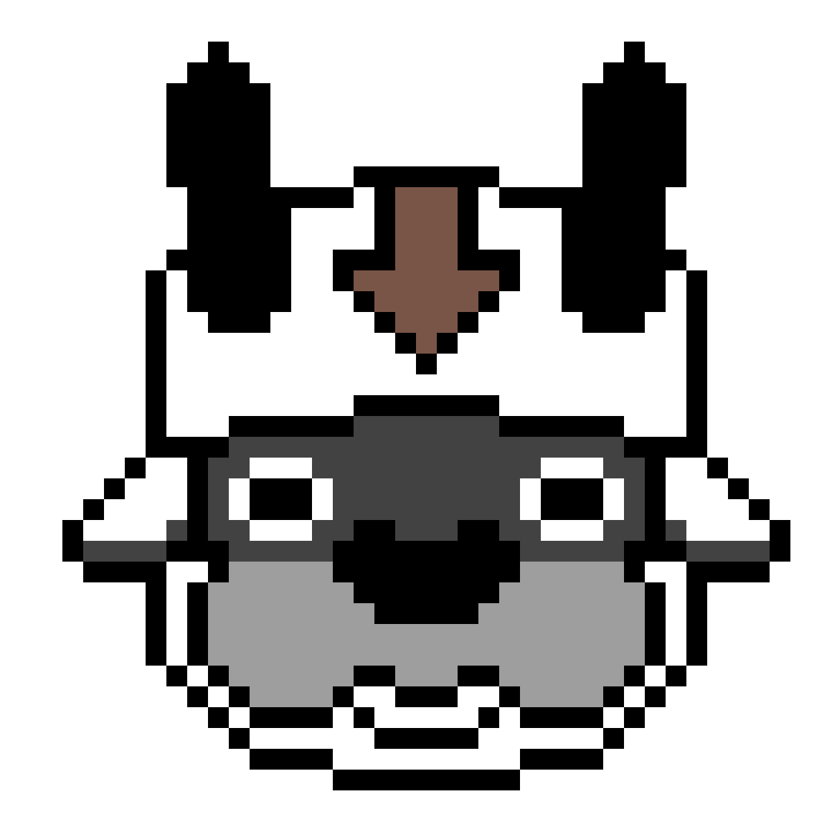 Pixilart - Appa by ZoeyHope