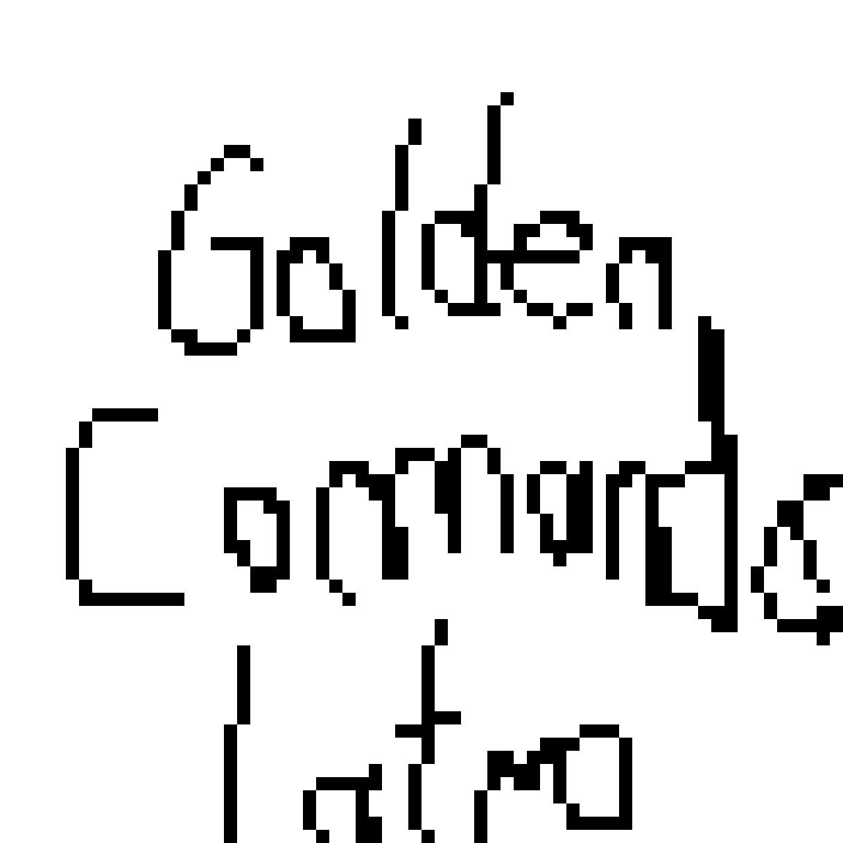 Pixilart - golden commando by goldencommando