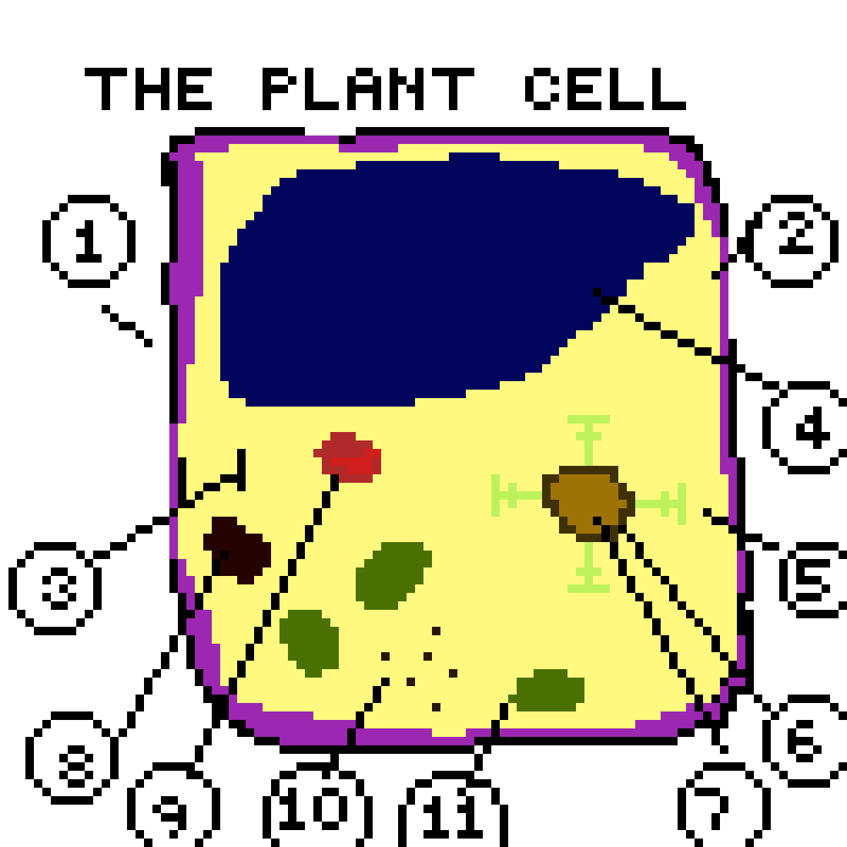 Pixilart - The Plant Cell by TheViolinist