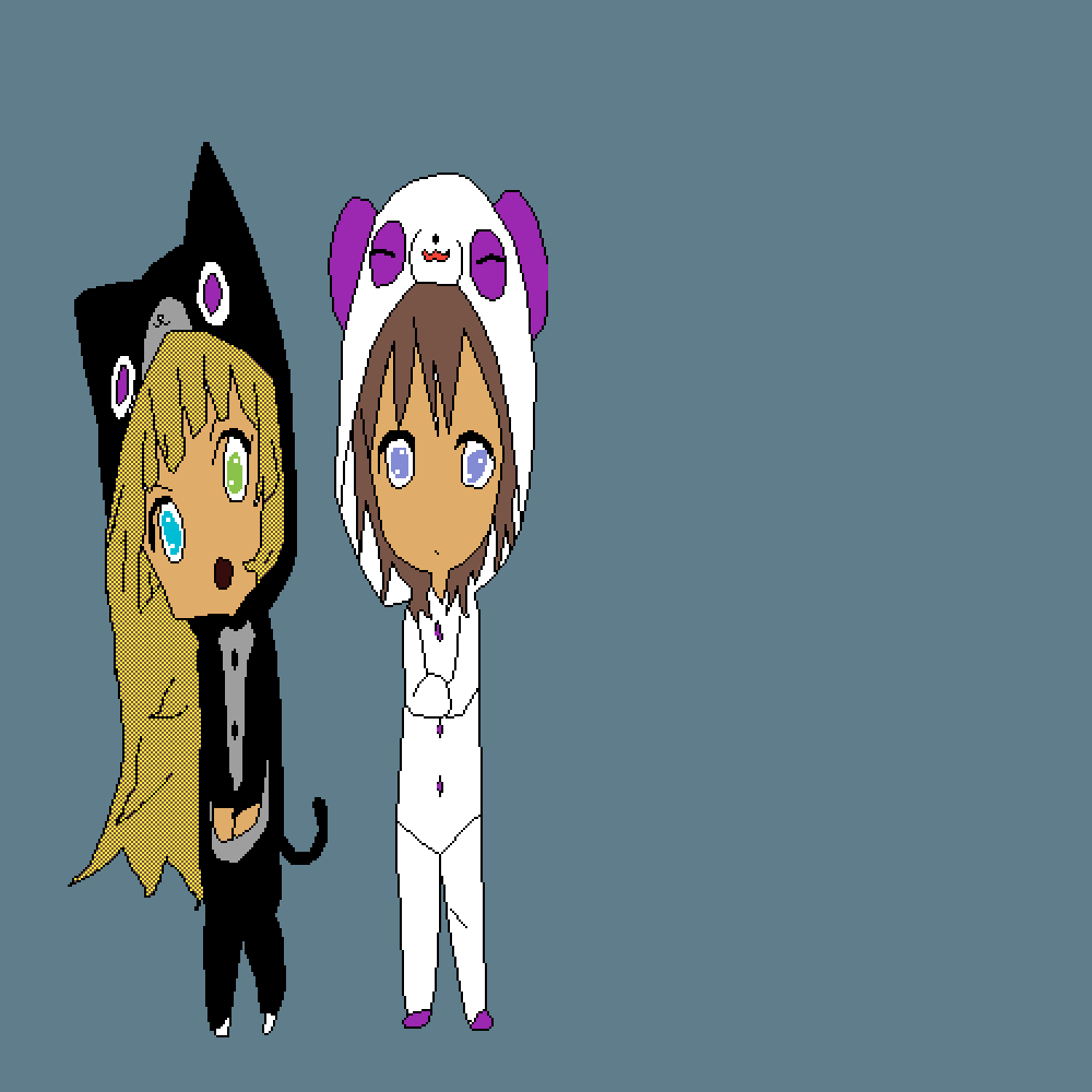 Pixilart - cat and panda by sami-kat