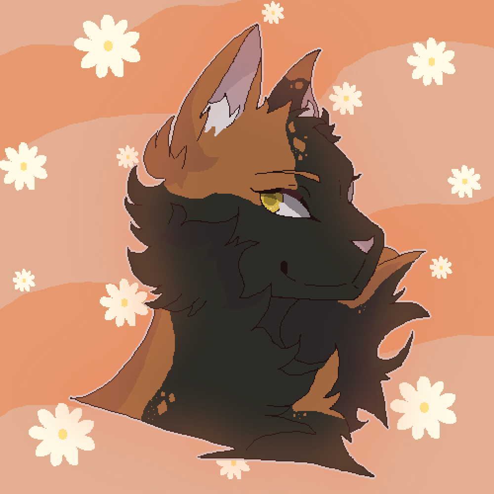 Draw My OC Hollypaw Contest - Pixilart