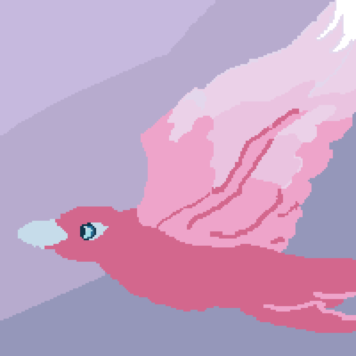 magic bird's Contest - Pixilart