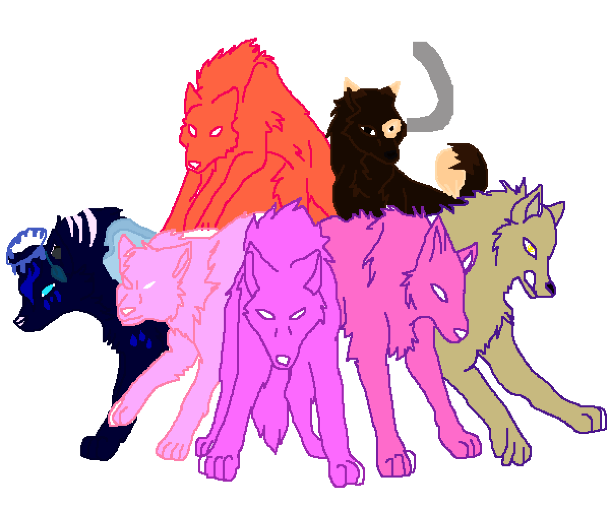 Draw a Cat Contest - Pixilart